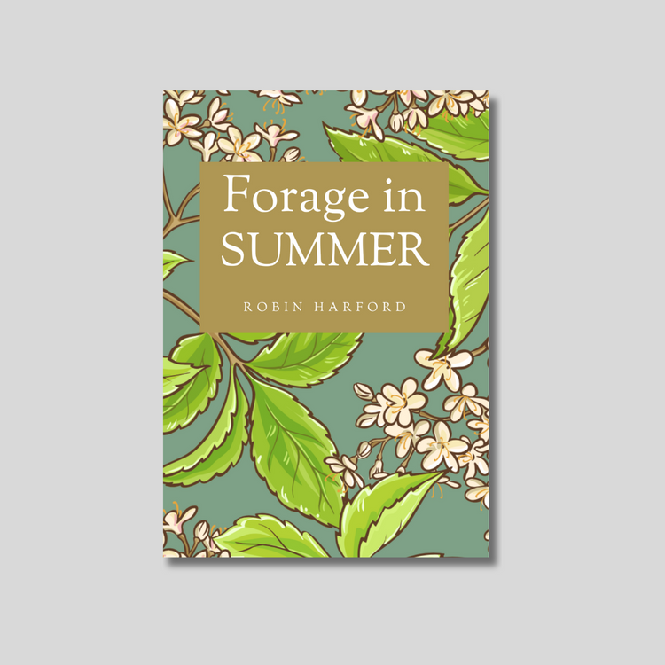 Forage In Summer: The Food and Medicine of Britain’s Wild Plants – Eatweeds
